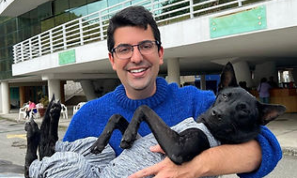 'Pai de pet', deputado Marcelo Queiroz é investigado por desvio ...